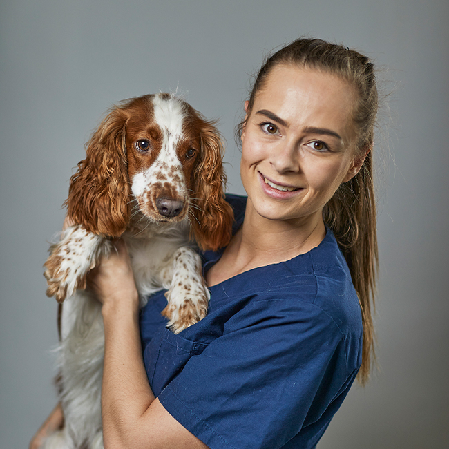Åssiden Dyreklinikk | Evidensia Dyrehelse